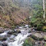 Ravenna Gorge Trail, Baden-Wuerttemberg, Germany - 286 Reviews, Map ...