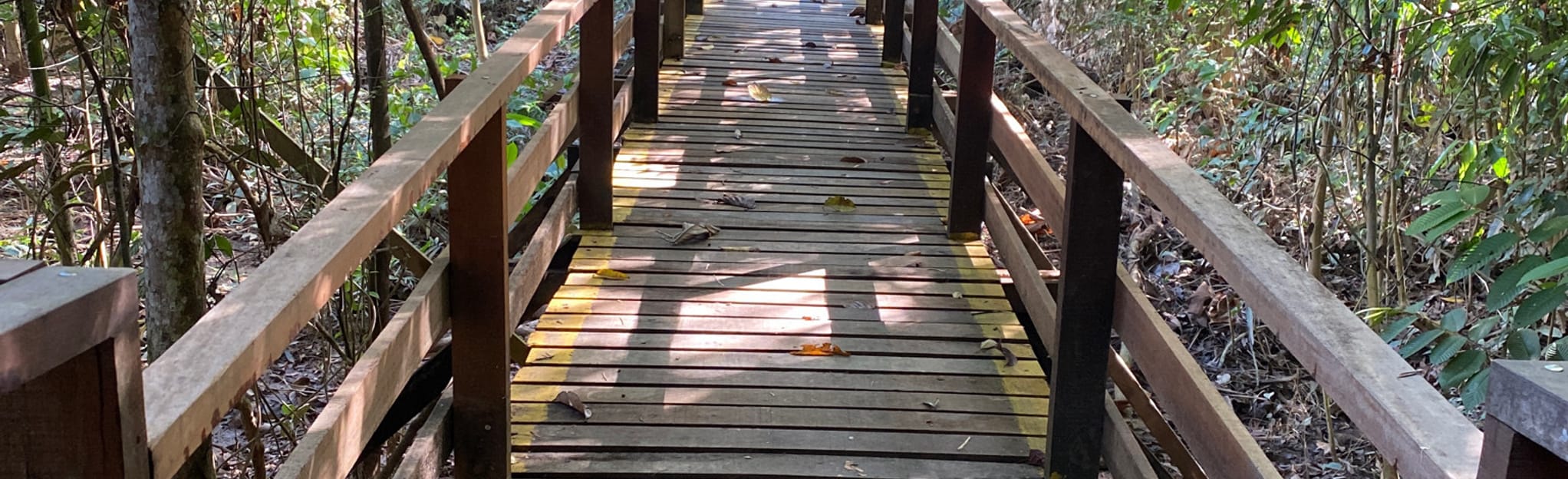 Nibong Waterfall - Sarawak, Malaysia | AllTrails