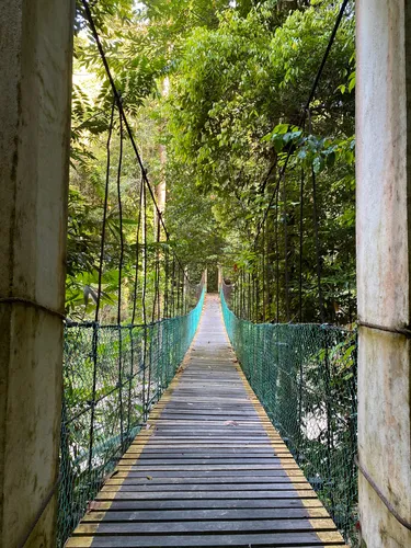 10 Best Hikes and Trails in Lambir Hills National Park | AllTrails