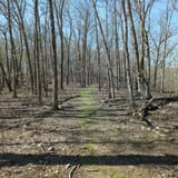 Oak Ridge Trail, Missouri - 180 Reviews, Map | AllTrails