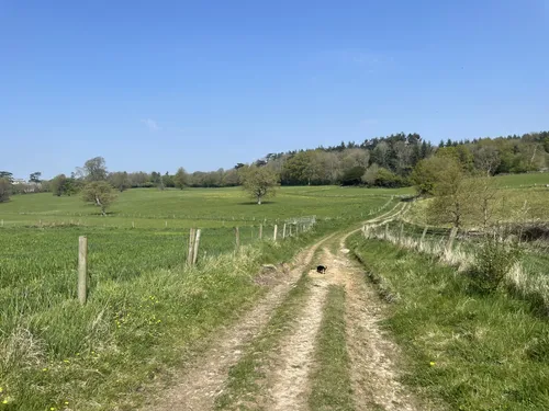 10 Best Hikes and Trails in Martin Down National Nature Reserve | AllTrails