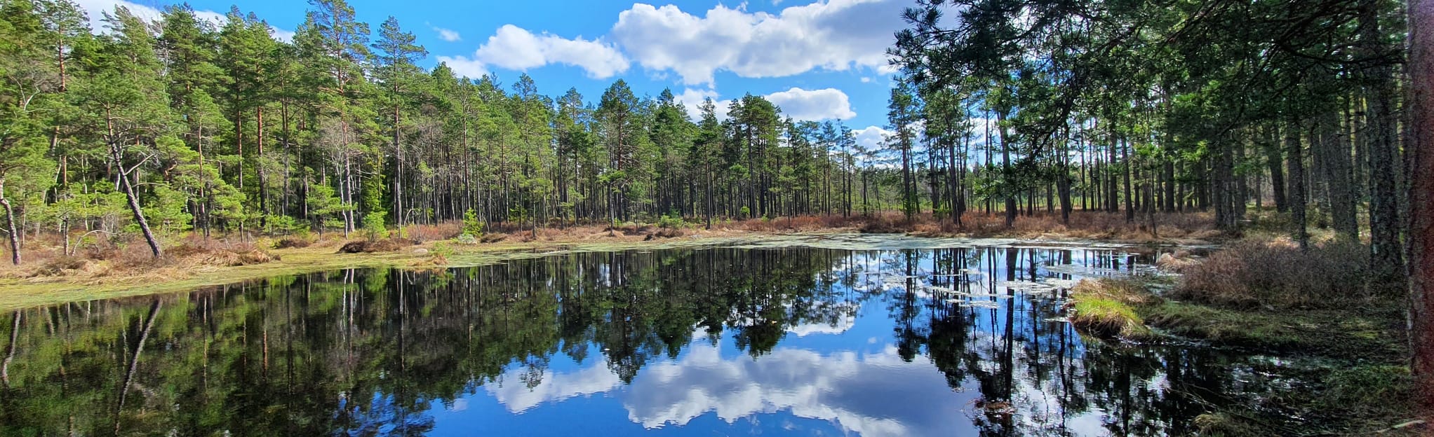 Östra Rockne Round Trip (with Svartgölen): 26 Reviews, Map - Jönköping ...