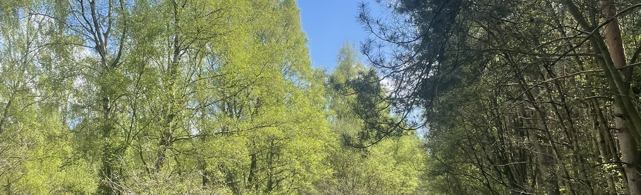 Stapleford Woods Explorer | Map, Guide - Nottinghamshire, England ...