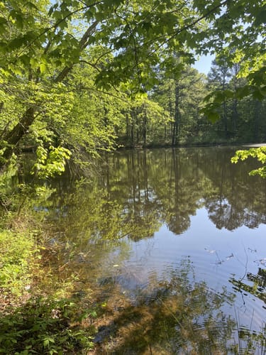 Best 10 Hikes and Trails in Falls Lake State Recreation Area | AllTrails