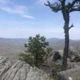 Perry Valley Loop Trail, West Virginia - 128 Reviews, Map | AllTrails