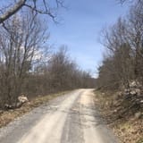 Perry Valley Loop Trail, West Virginia - 128 Reviews, Map | AllTrails