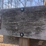 Perry Valley Loop Trail, West Virginia - 128 Reviews, Map | AllTrails