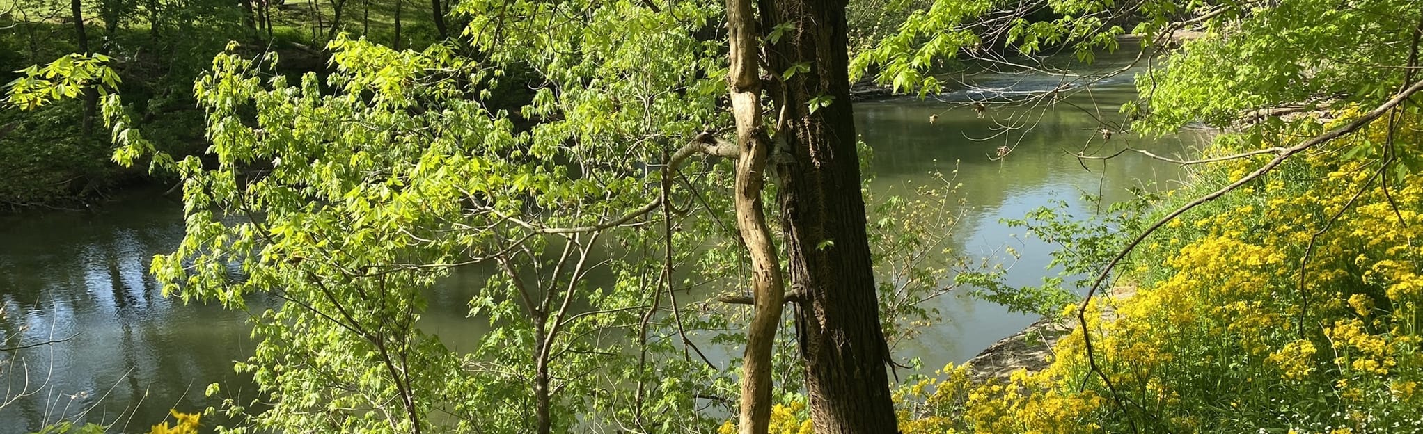 Spring Creek and Wilhoite Mill Loop: 358 Reviews, Map - Tennessee ...