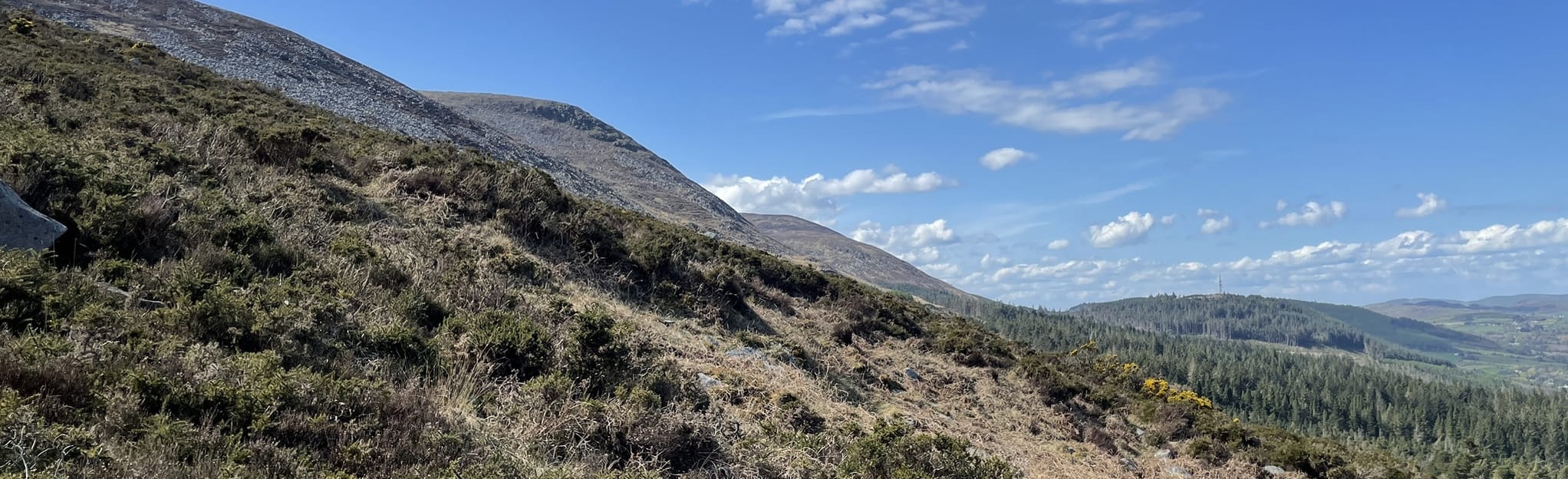 Donard Park and Granite Trail Circular: 315 foto's - Ards and North ...