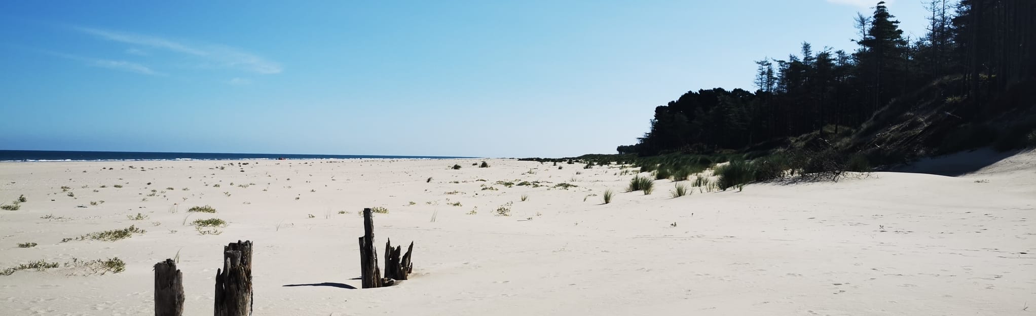 Raven Point Nature Reserve Loop - County Wexford, Ireland | AllTrails