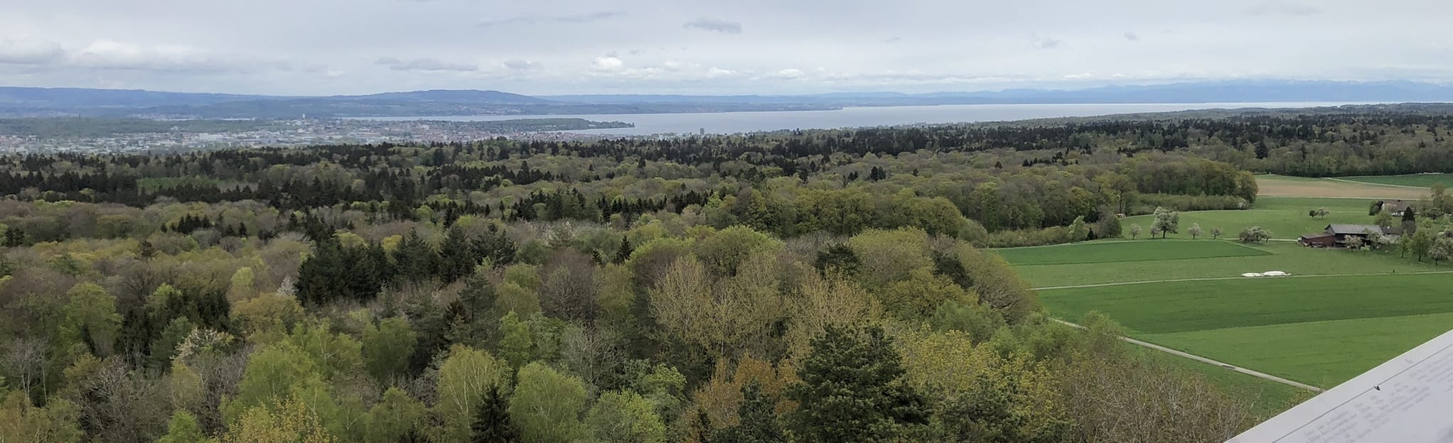 Ermatingen - Helsighausen | Map, Guide - Thurgau, Switzerland | AllTrails