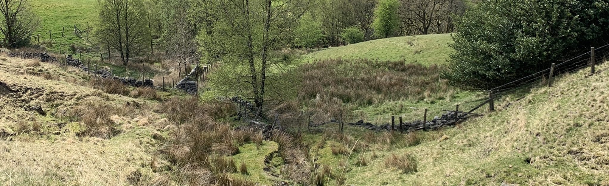 Walsden and Todmorden Circular via Penine Bridleway, West Yorkshire ...