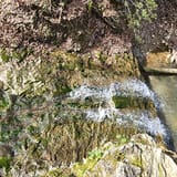 Lakeview and Boundary Loop, Indiana - 155 Reviews, Map | AllTrails