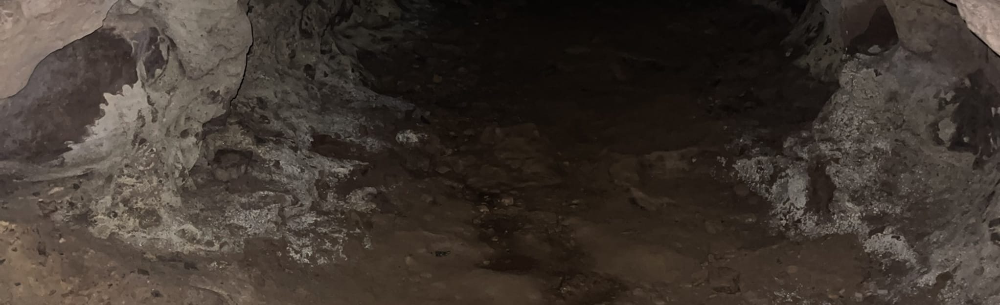 Arwah Cave Trail, Meghalaya, India - 2 Reviews, Map | AllTrails