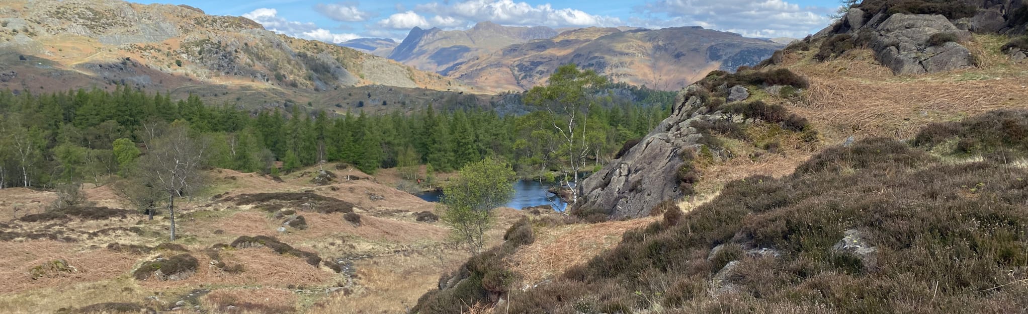 Holme and Black Fells, Cumbria, England - 150 Reviews, Map | AllTrails