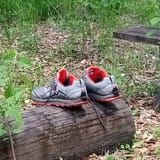 Richloam Wildlife Management Area, Florida - 61 Reviews, Map | AllTrails