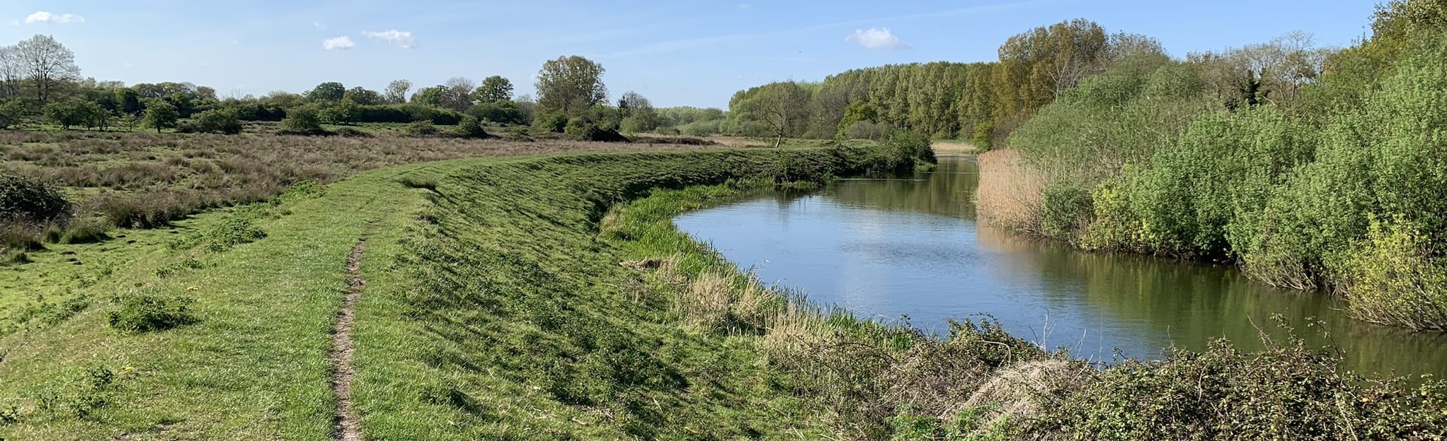 Hilgay Circular, Norfolk, England - 30 Reviews, Map | AllTrails