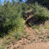 Brush Canyon Trail and Mount Bell Loop, California - 374 Reviews, Map ...