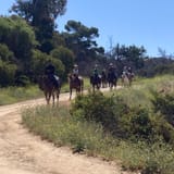 Brush Canyon Trail and Mount Bell Loop, California - 374 Reviews, Map ...