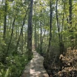Neusiok Trail Northern Half, North Carolina - 168 Reviews, Map | AllTrails