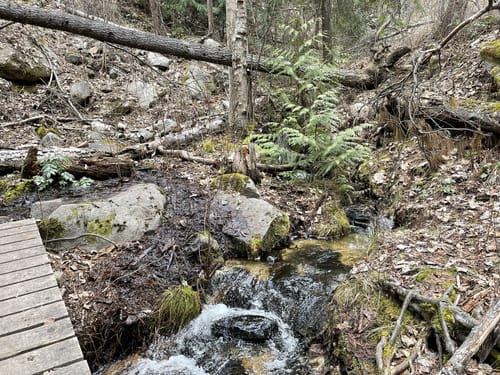Best Hikes and Trails in Syringa Provincial Park | AllTrails