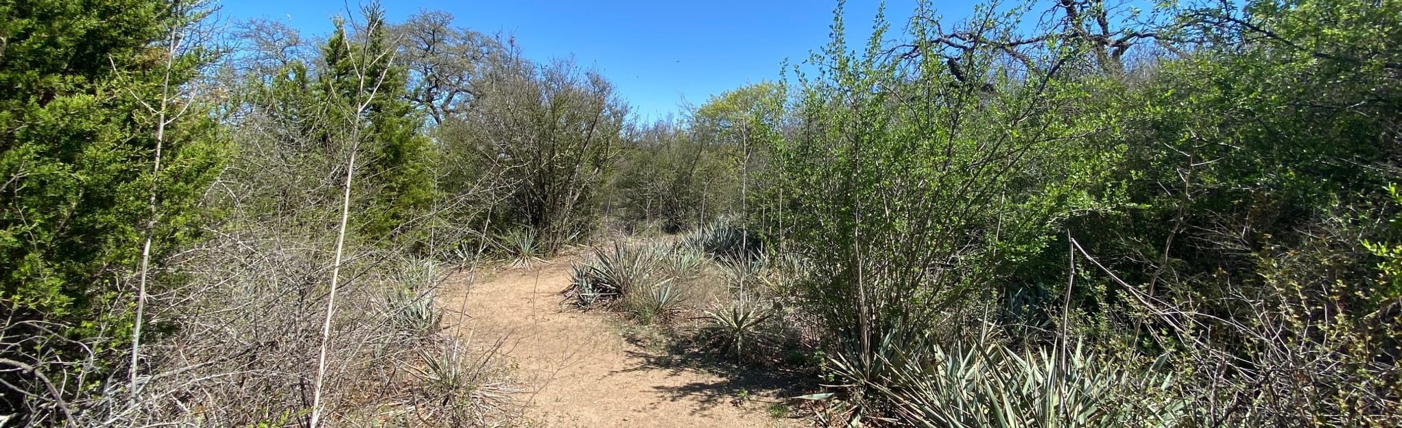 Chandor Nature Trail, Texas - 12 Reviews, Map | AllTrails
