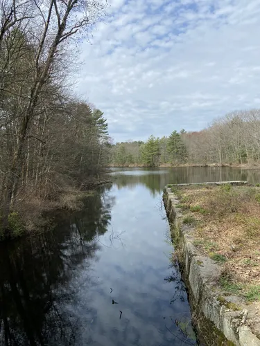 Best Hikes and Trails in Walpole Town Forest | AllTrails