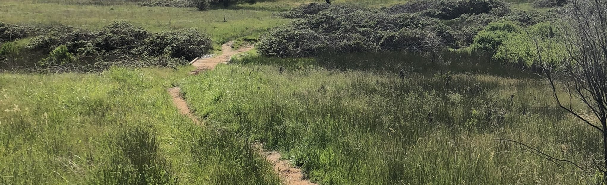 Auburn Overlook to Olmstead Loop Trail, California - 42 Reviews, Map ...