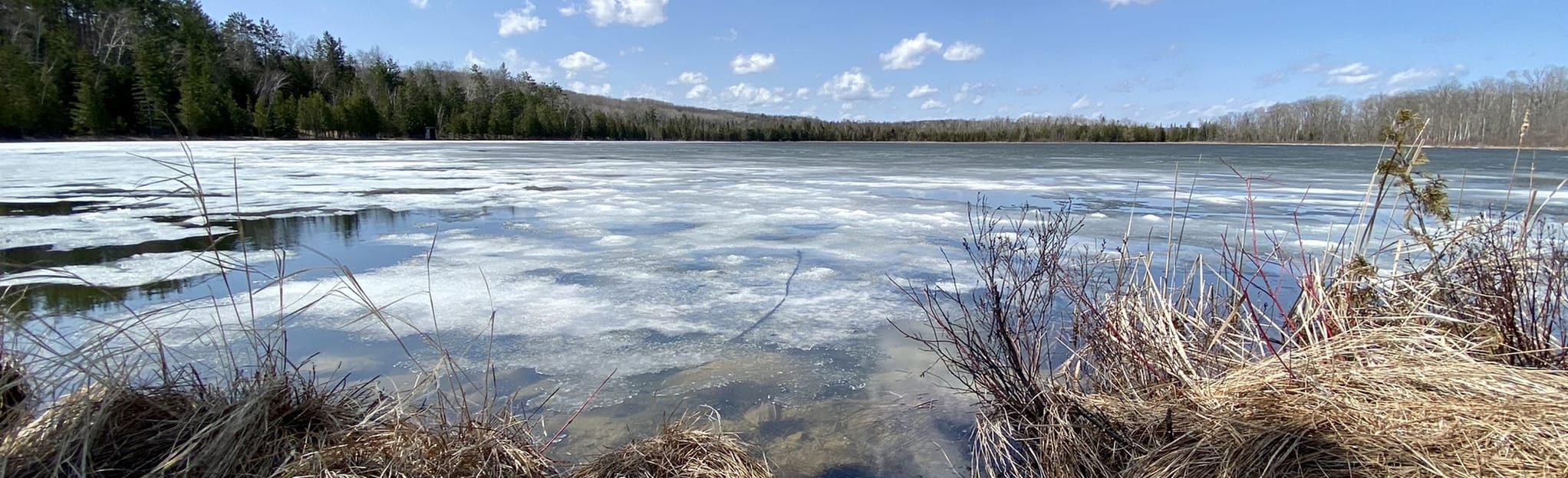 Fumee Lake Loop | Map, Guide - Michigan | AllTrails