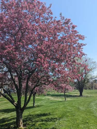 Best Hikes and Trails in Bob Rodale Cycling and Fitness Park | AllTrails