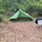 Richloam Wildlife Management Area, Florida - 61 Reviews, Map | AllTrails