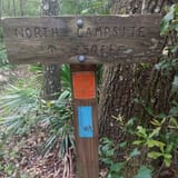 Richloam Wildlife Management Area, Florida - 61 Reviews, Map | AllTrails