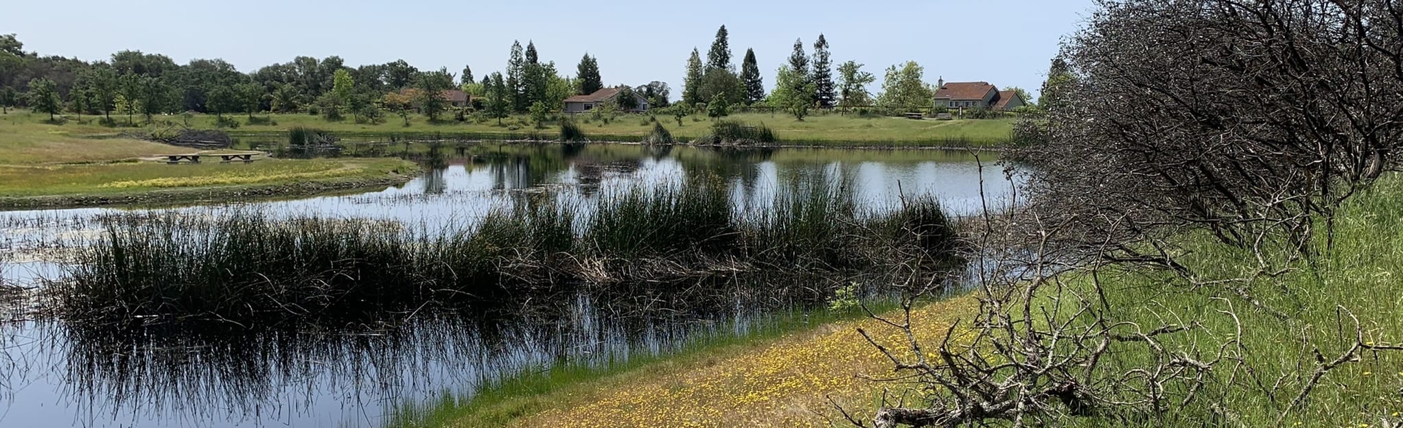 Foothill Regional Park Loop Trail: 1513 Reviews, Map - California ...