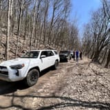 AOAA Green Trails West Loop, Pennsylvania - 46 Reviews, Map | AllTrails