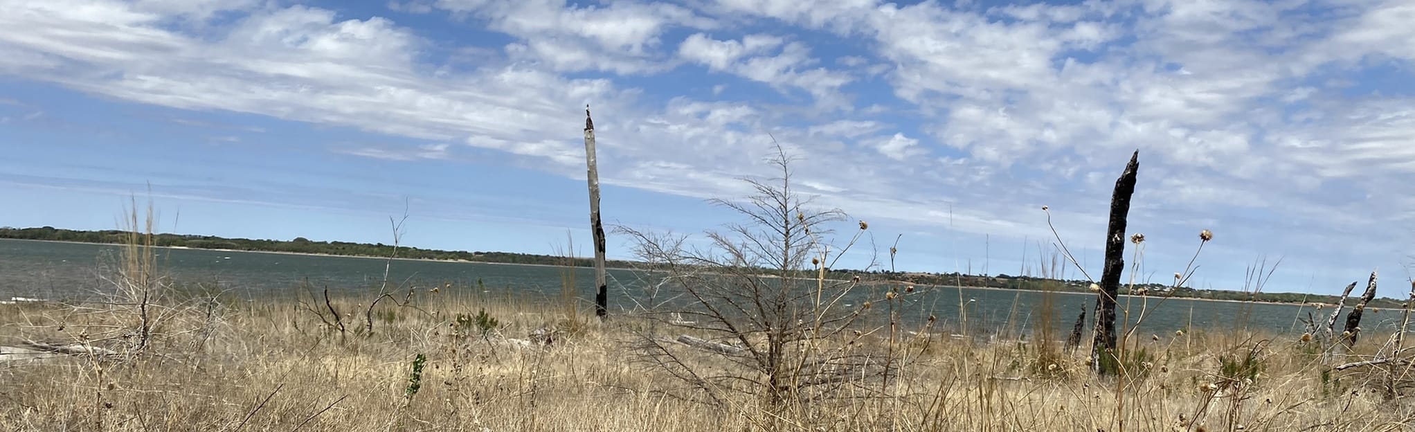 Foss Lake, Oklahoma - 43 Reviews, Map | AllTrails