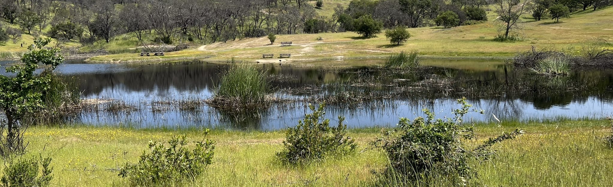 Foothill Regional Park Loop Trail, California - 1,637 Reviews, Map ...