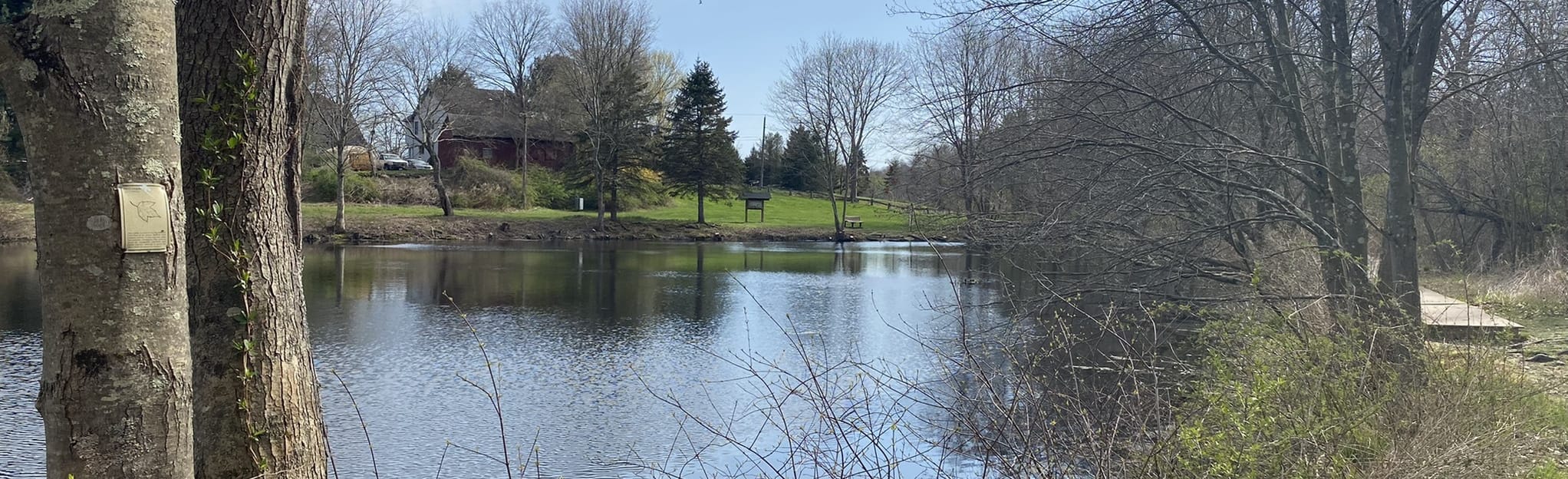 Ansonia Nature Center Trail Loop, Connecticut - 194 Reviews, Map ...