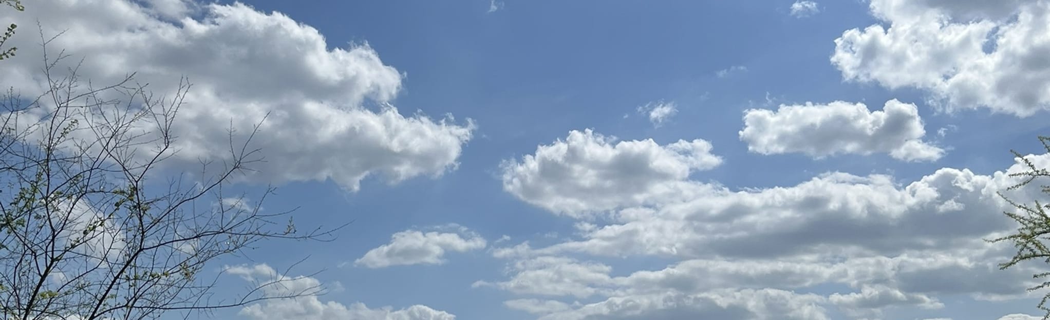 Alexander Trail, Tennessee - 198 Reviews, Map | AllTrails