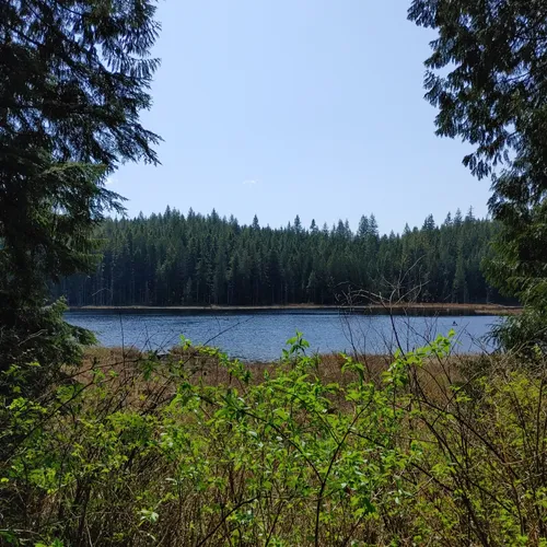 2023 Best Trail Running Trails in UBC Malcolm Knapp Research Forest ...