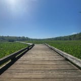 Point of Rocks Trail, Virginia - 370 Reviews, Map | AllTrails