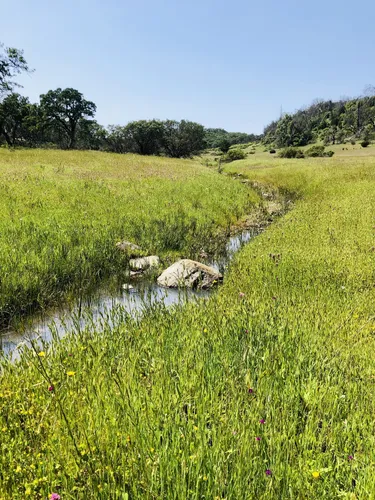 10 Best Hikes and Trails in Trione-Annadel State Park | AllTrails