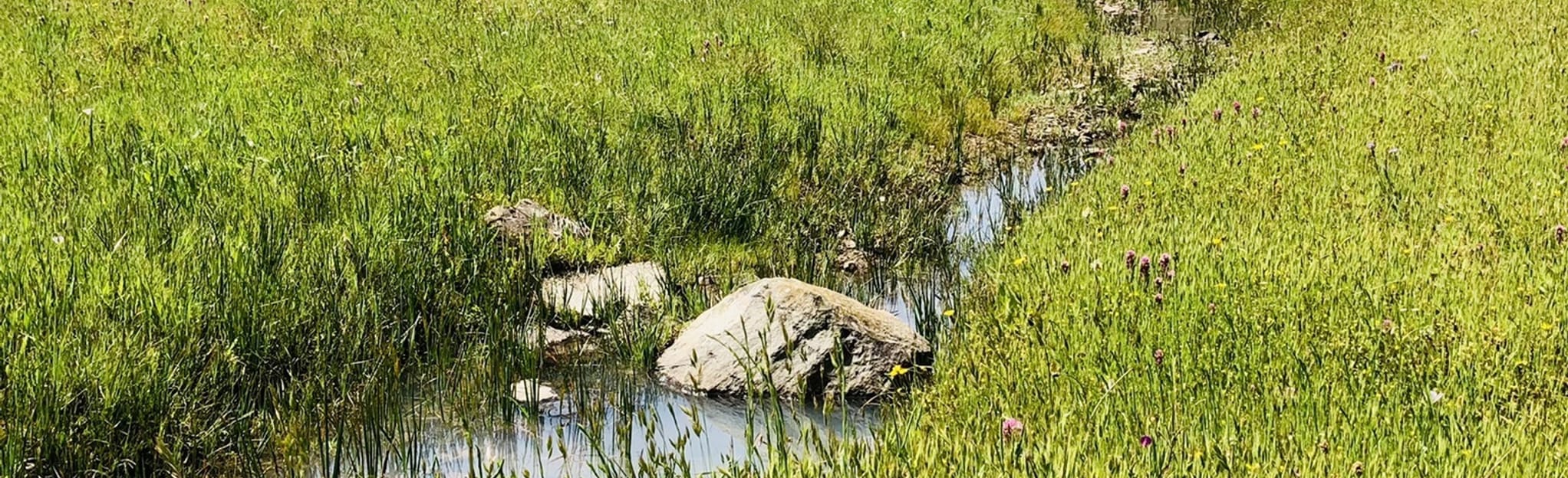 Annadel State Park North Loop Trail: 253 Reviews, Map - California ...