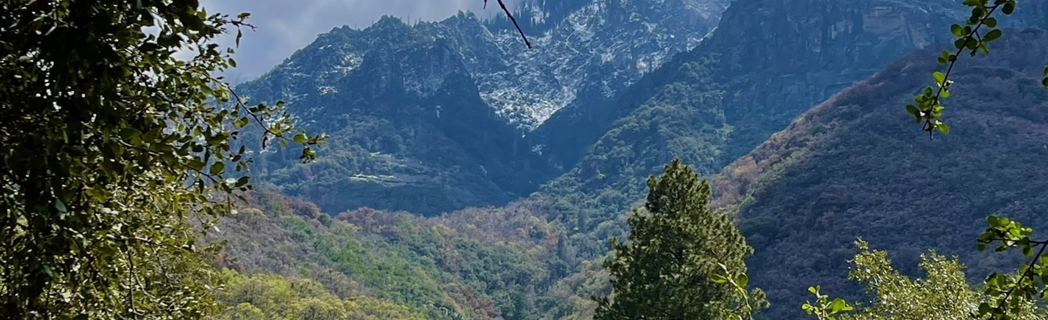 Ladybug Trail, California - 250 Reviews, Map | AllTrails