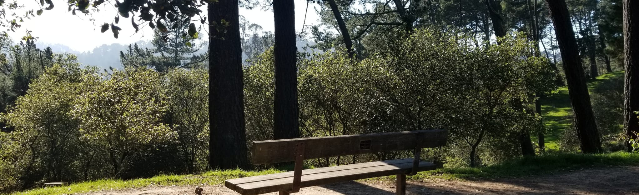 East Ridge, Stream, French, Madrone and West Ridge Trail Loop: 189 ...