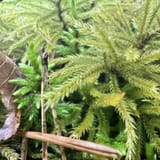 Blue Hole Road, Arkansas - 50 Reviews, Map | AllTrails