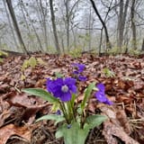 Blue Hole Road, Arkansas - 50 Reviews, Map | AllTrails