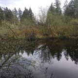 Beaver Lake Park Trail, Washington - 238 Reviews, Map | AllTrails