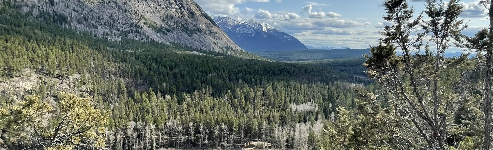 Quartz Lake Lookout: 16 Reviews, Map - British Columbia, Canada | AllTrails