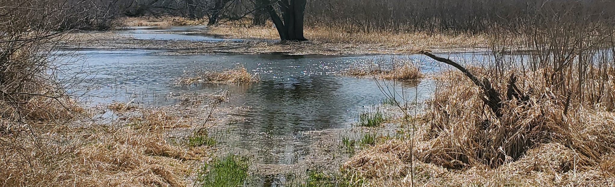 Hansen Preserve, Wisconsin - 14 Reviews, Map | AllTrails