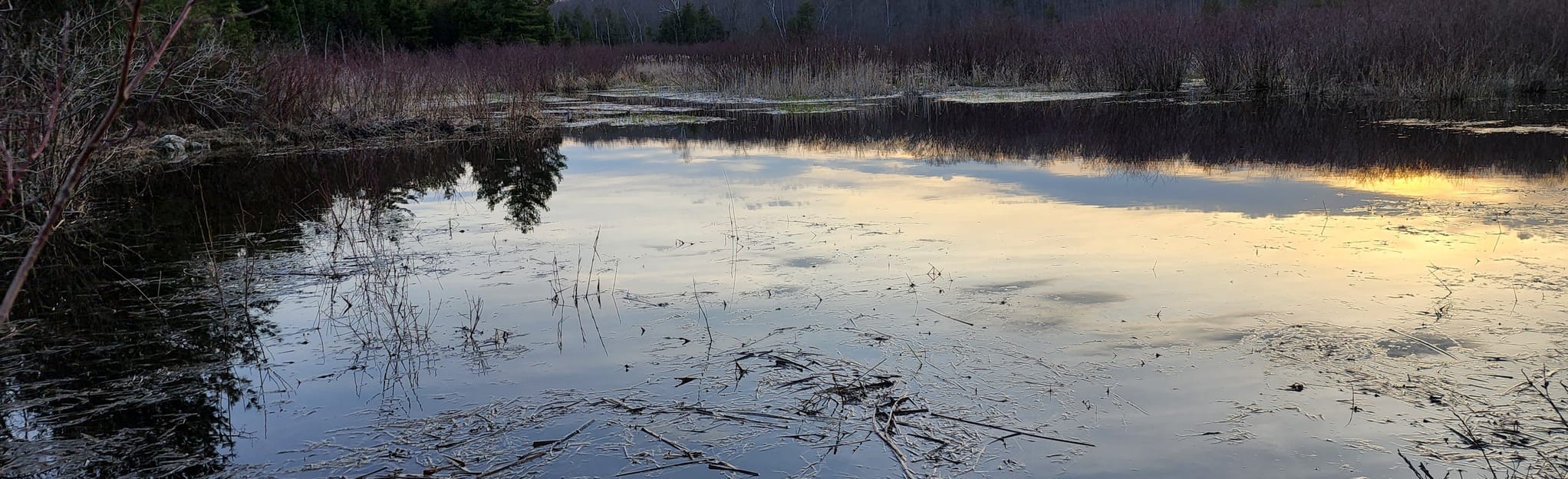 Hilton Falls Trail | Mapa, Roteiro - Ontario, Canada | AllTrails